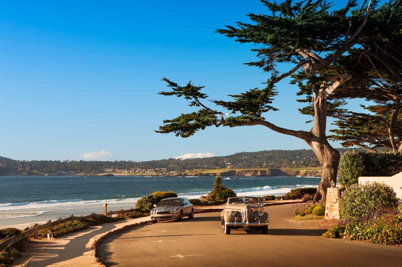 20 Great Things to do in Monterey, California | The Planet D