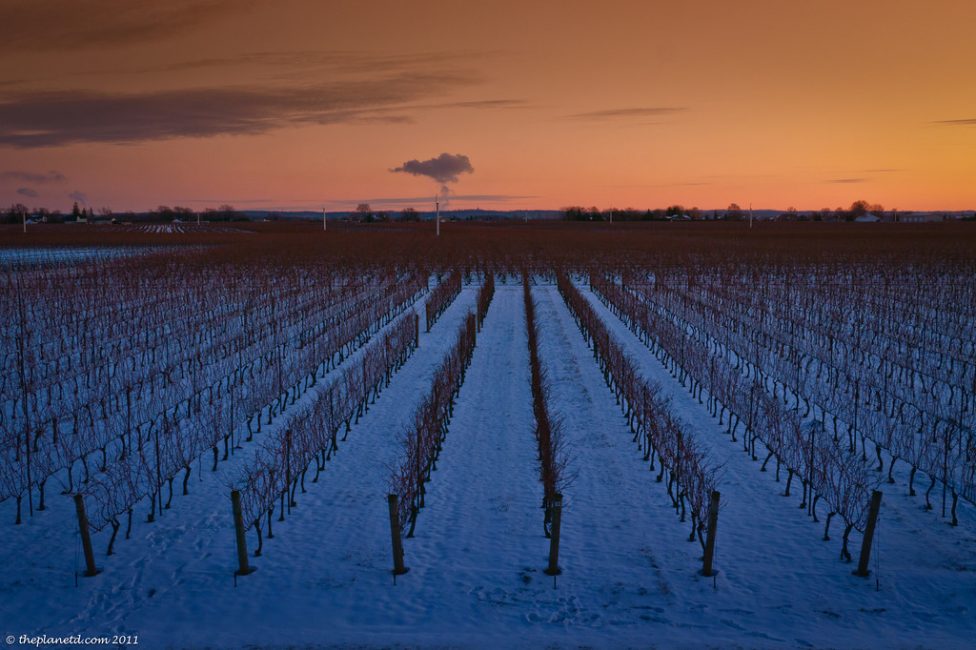 Niagara Falls Winery Tour 1 Xl