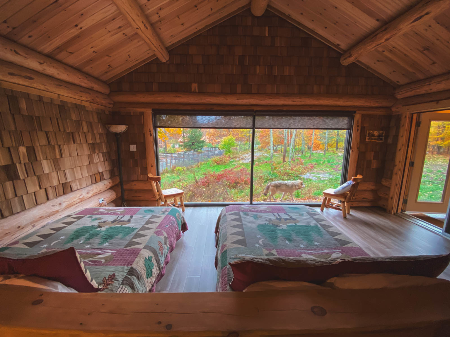 Parc Omega Wolf Cabins: A Weekend Sleeping With The Wolves - The Planet D