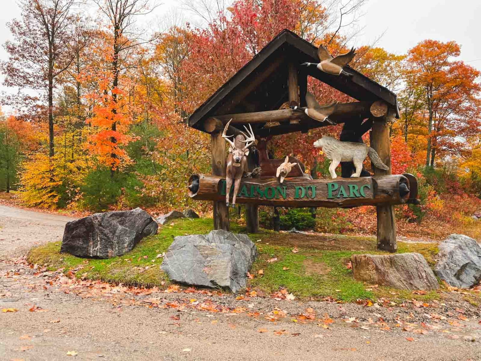 Parc Omega Wolf Cabins: A Weekend Sleeping With The Wolves - The Planet D
