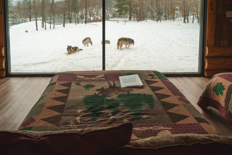 Parc Omega Wolf Cabins: A Weekend Sleeping With The Wolves - The Planet D