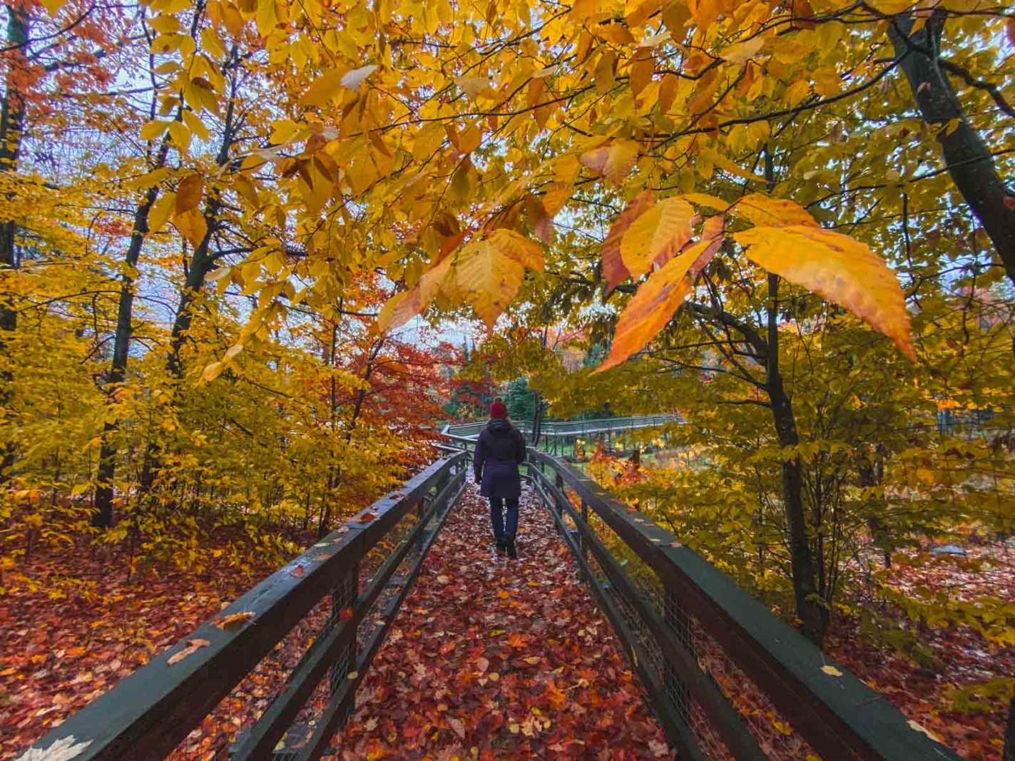 Parc Omega Wolf Cabins: A Weekend Sleeping With The Wolves - The Planet D