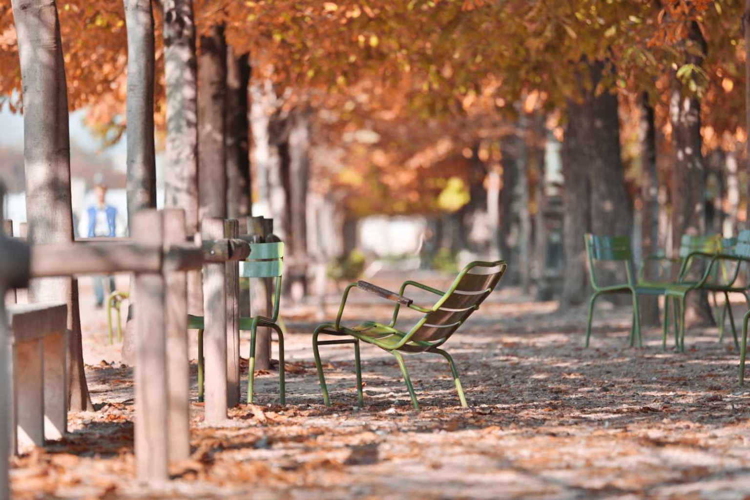 Paris in October: Weather, Fall Tips, And What to Expect - The Planet D