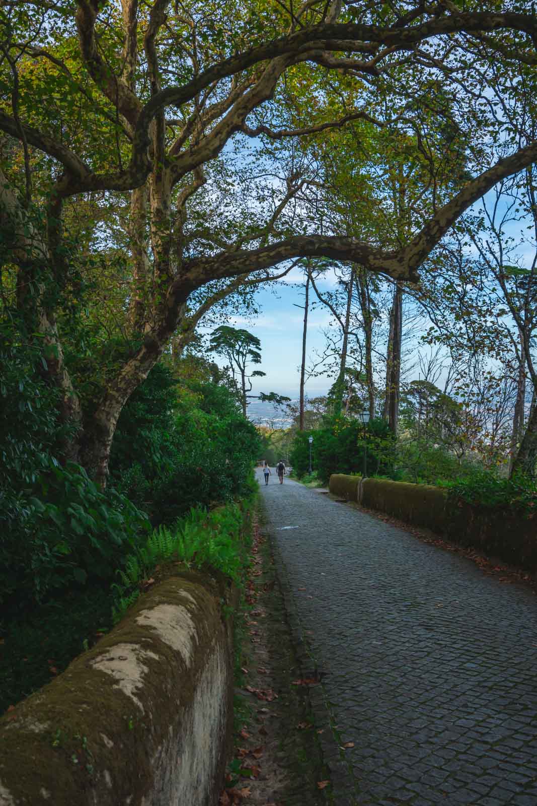 Ultimate Guide to Planning Your Sintra Day Trip from Lisbon: Tips ...