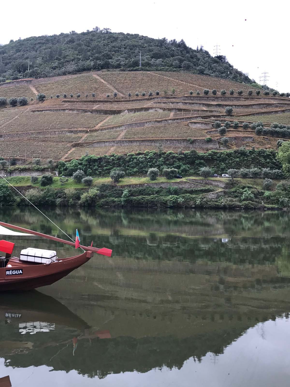 Guide to the Douro Valley from Porto - Portugal's Most Famous Wine ...