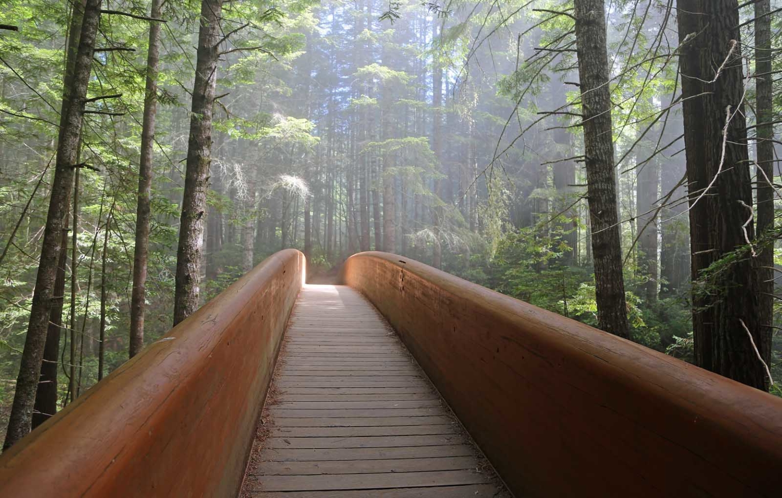 The Complete Guide to Visiting Redwood National Park - The Planet D