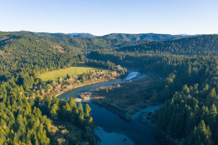 The Complete Guide to Visiting Redwood National Park - The Planet D