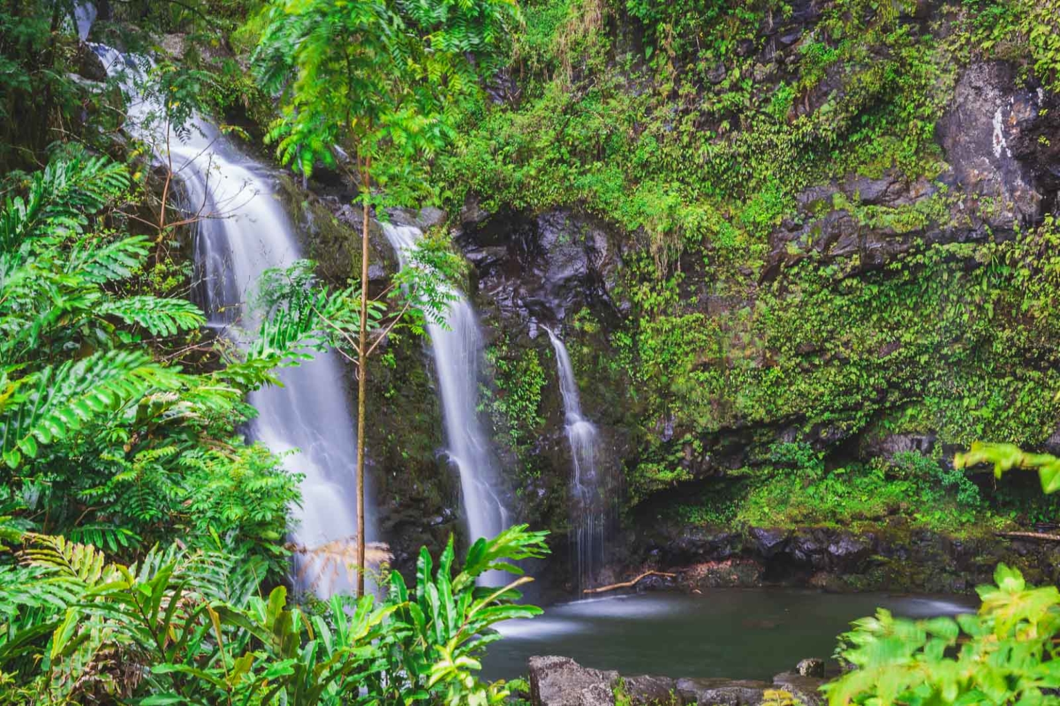 Road to Hana: Highway Map, Things to Do And Tips - The Planet D