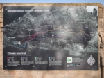 The Rock of Gibraltar - Everything You Need to Know Before you Go - The ...