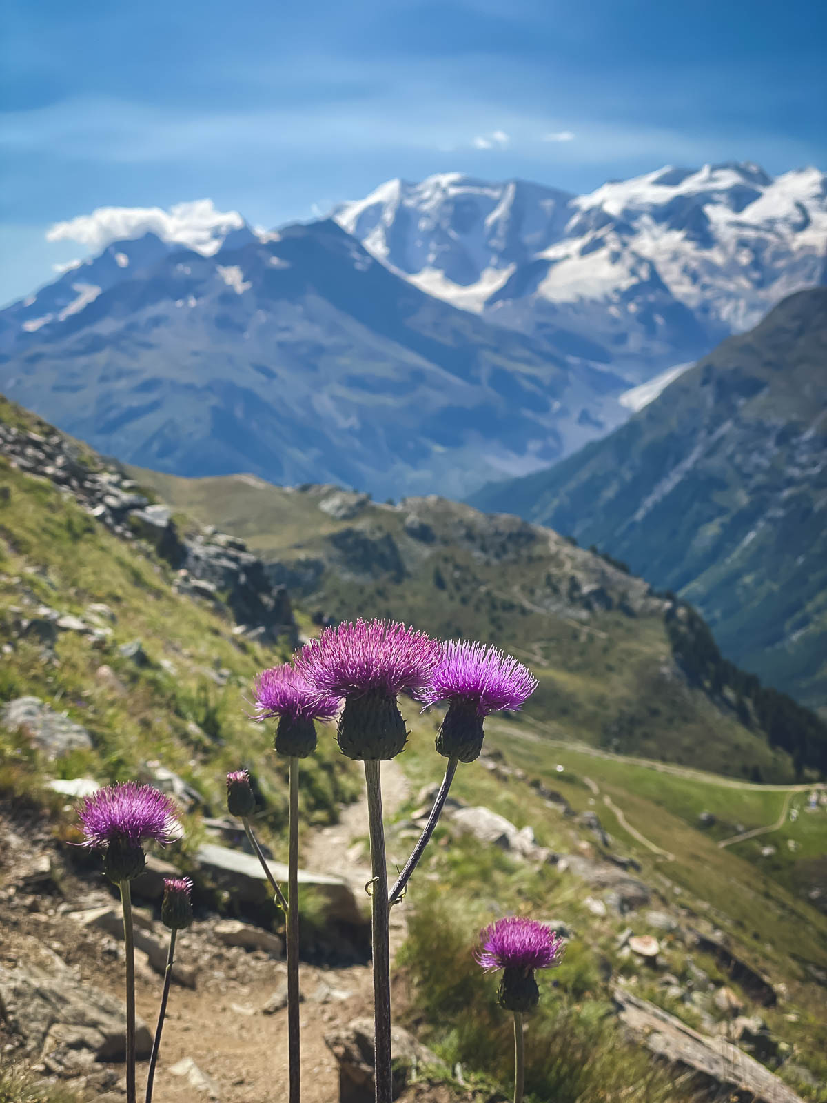 St. Moritz – Summer Fun in Switzerland - Getaway4