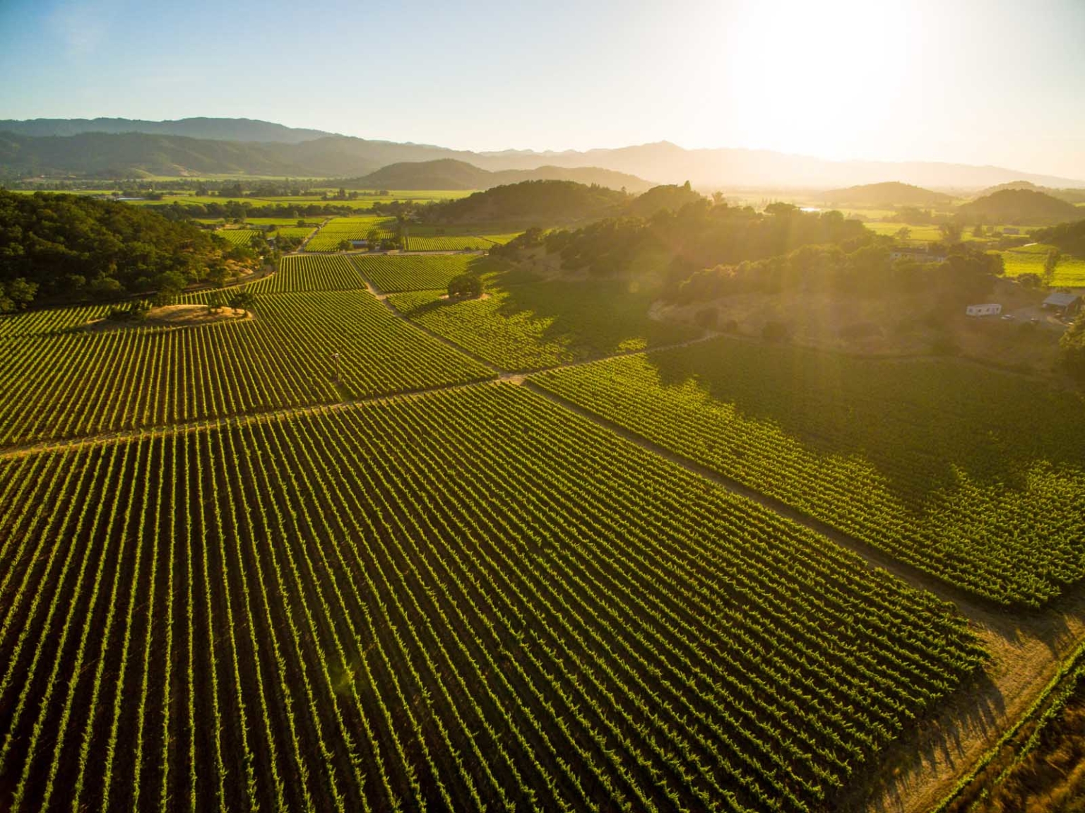 31 Best Things to do in Napa Valley - The Planet D