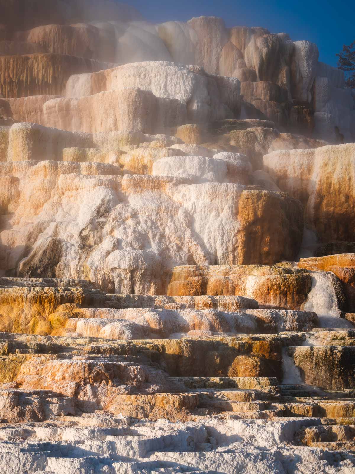 29 Best Things to Do in Yellowstone - The Ultimate Guide from 1 - 4 ...