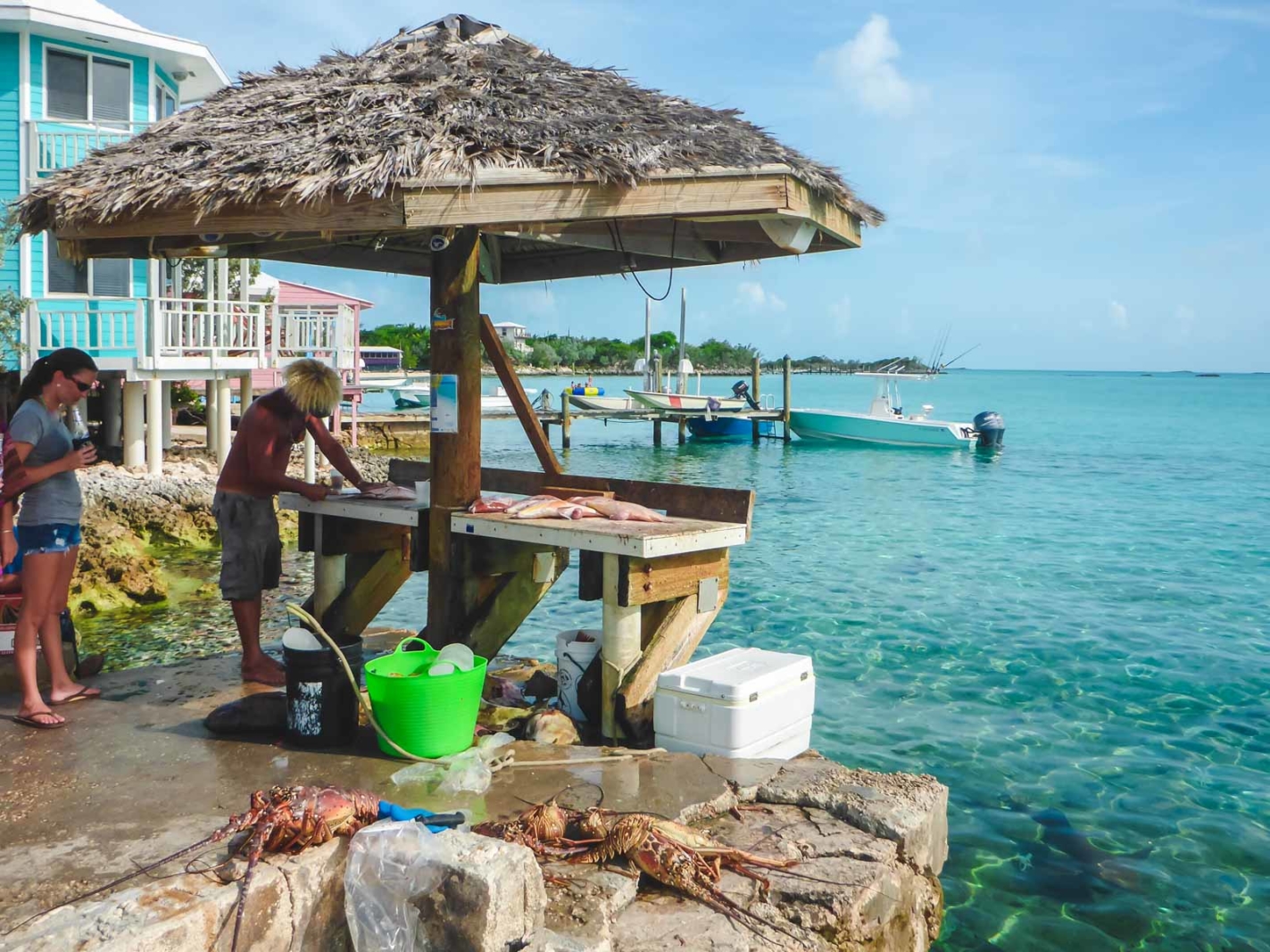 31 Best Things to Do In The Bahamas - The Planet D