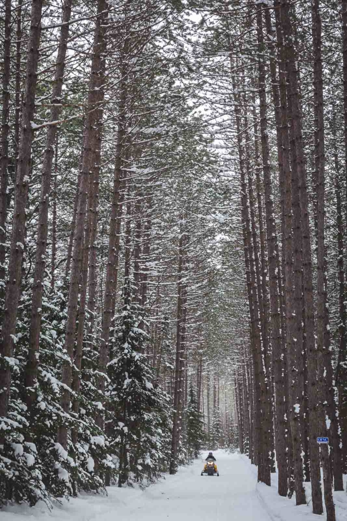 22 Adventurous and Fun Things to do in Winter in Canada