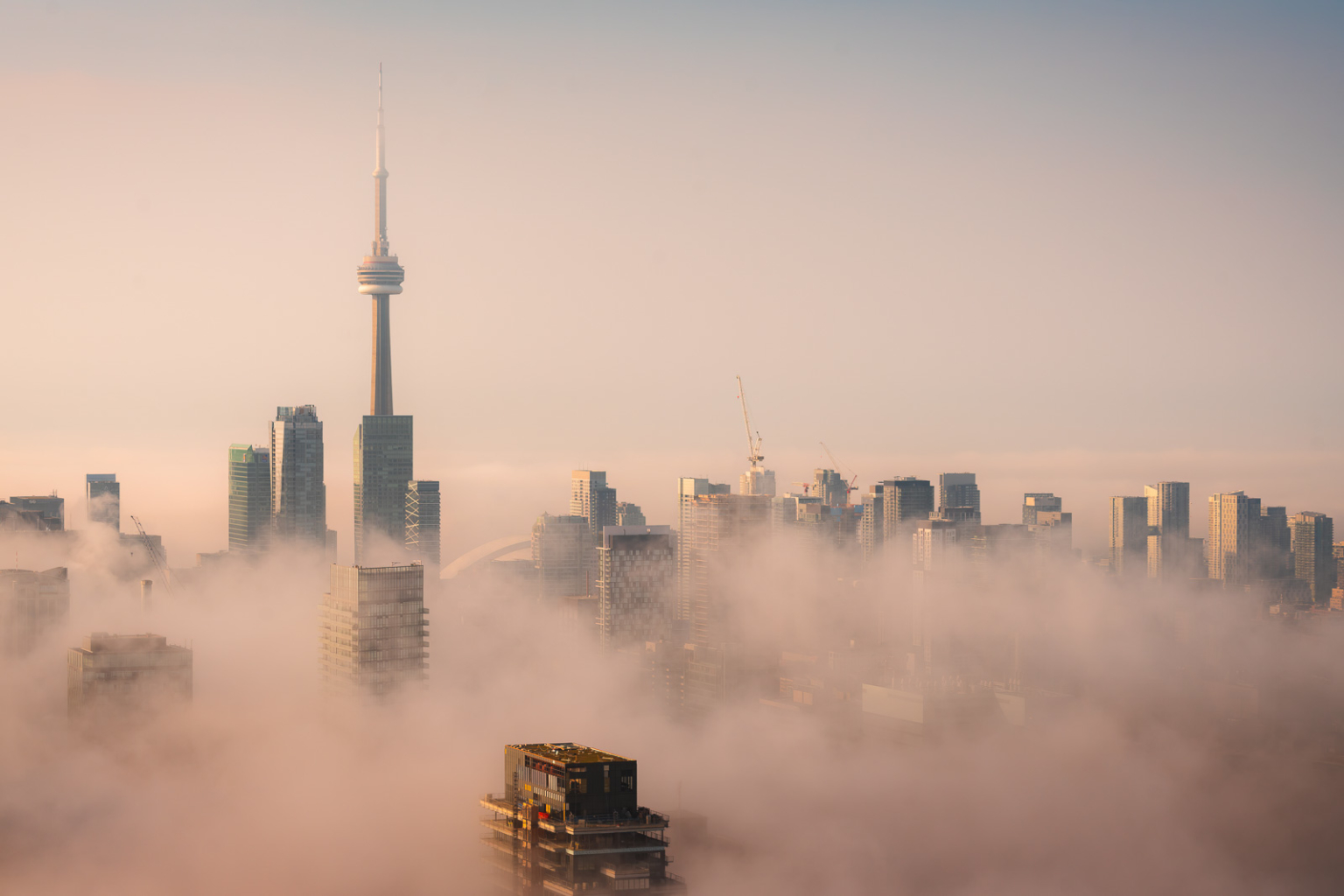 50 Best Things to do in Toronto Canada in 2024 - The Planet D