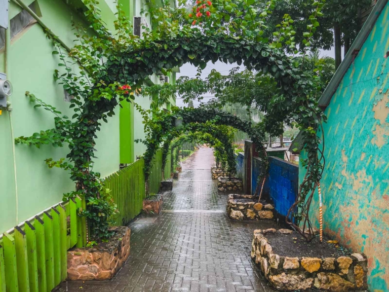 Discover San Ignacio, Belize- Your Ultimate Guide To Adventure - The ...