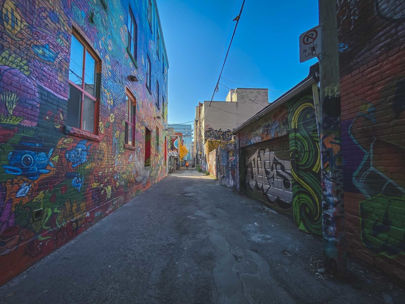 Toronto Tours by Locals in Photos and Video | The Planet D