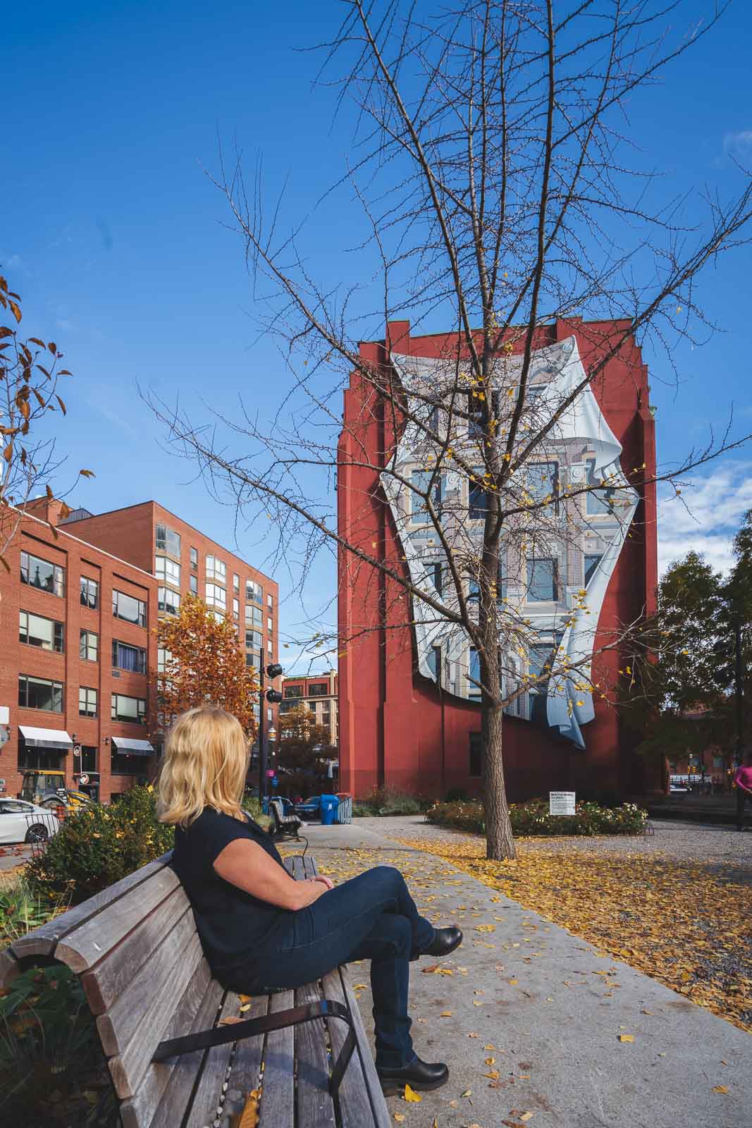 Toronto Tours by Locals in Photos and Video | The Planet D