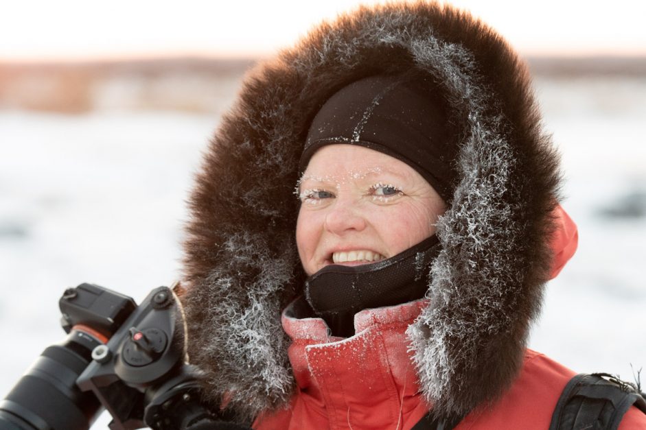 Adorable Tundra Animals - The Canadian Arctic Comes to Life
