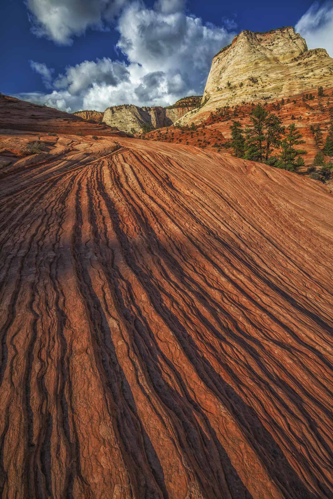 Utah National Parks: How to check out The Mighty 5 | TravelReserveKing