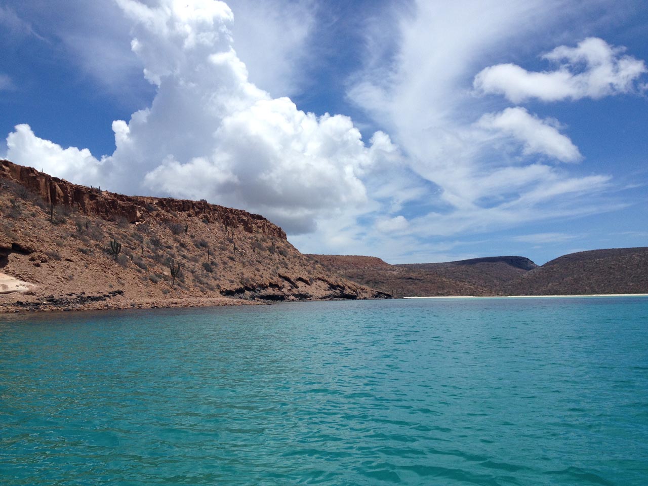 An Unforgettable Adventure at Mexico's Isla Espíritu Santo