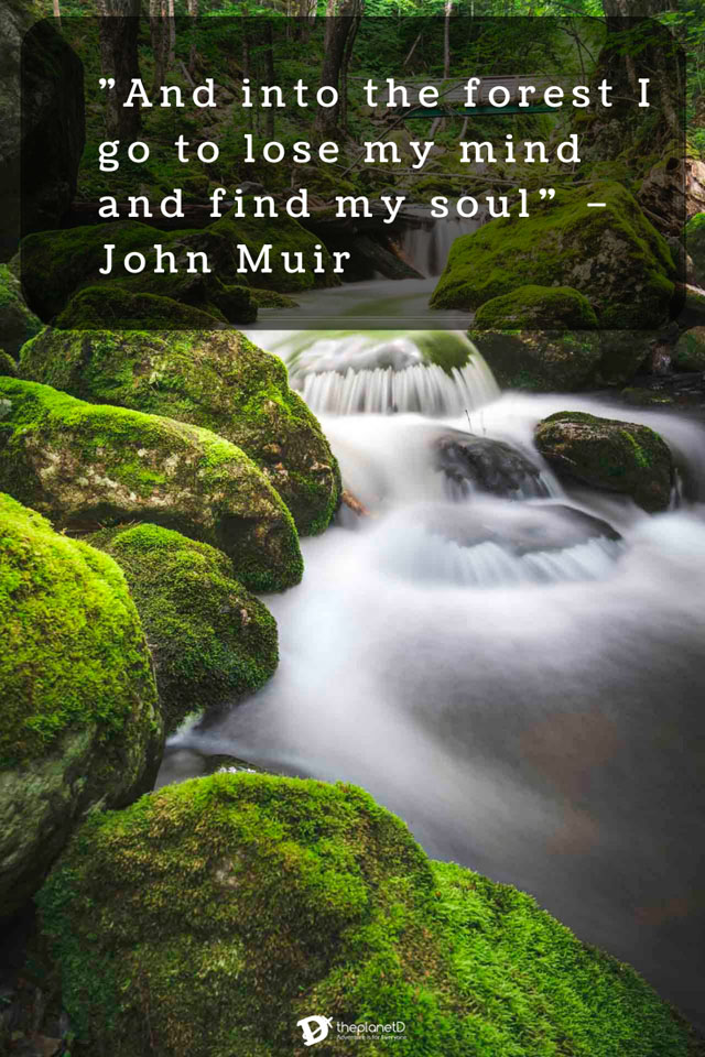 Adventure Quotes to Get You Out of Your Comfort Zone - Getaway4