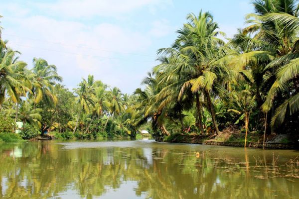 Kerala Backwaters - 24 Hours on an Alleppey Houseboat | The Planet D