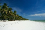 11 Best Beaches in Zanzibar - Plus Where to Stay - The Planet D