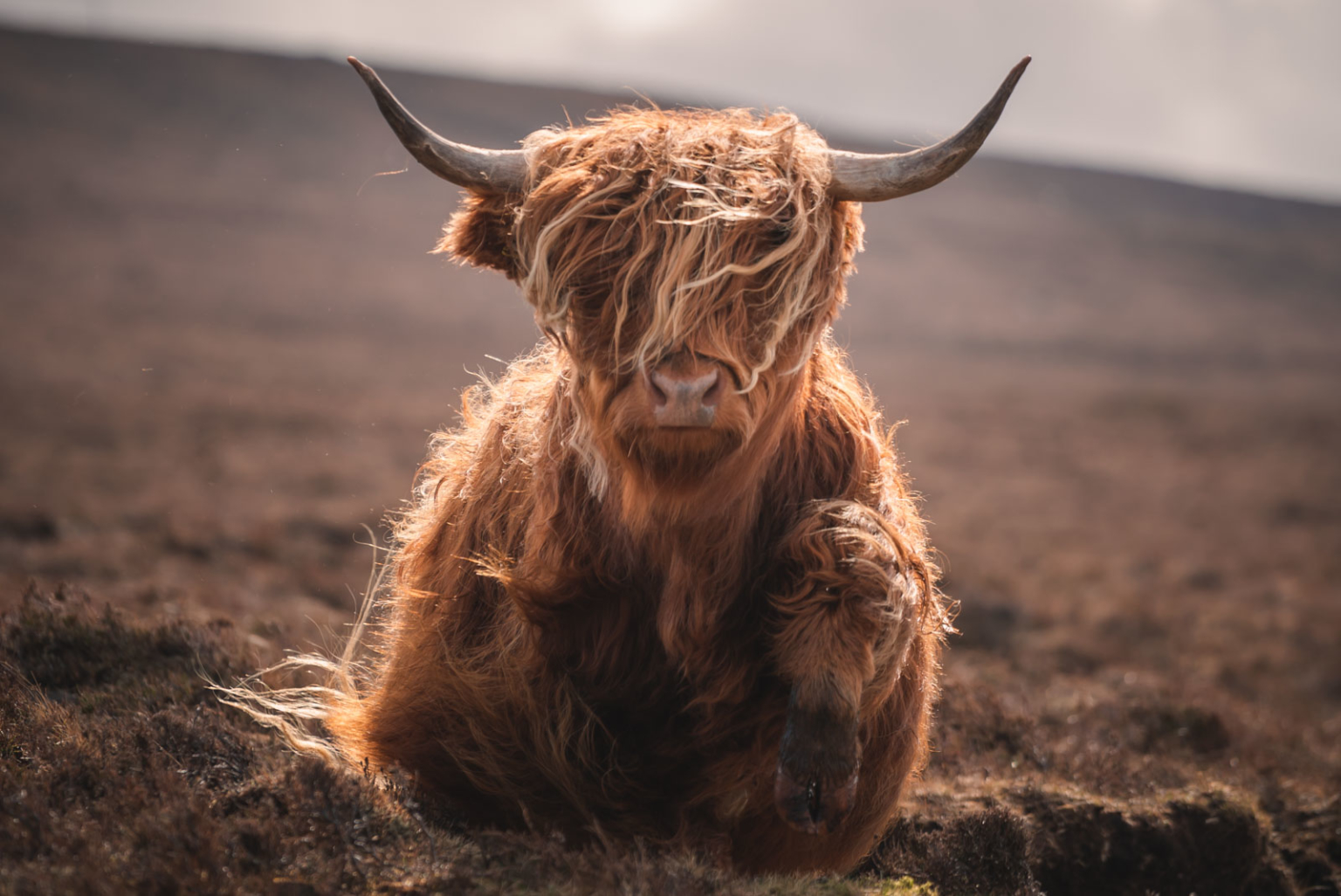 15 Best Cities in Scotland To Visit in 2024 - The Planet D