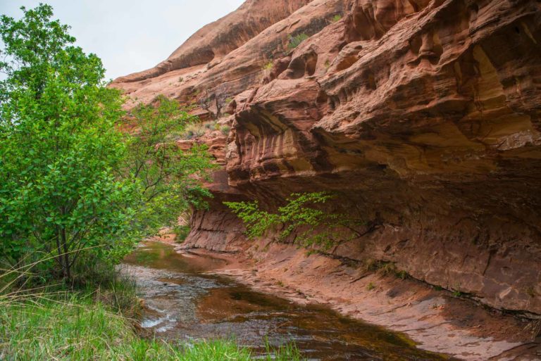 Best Hikes in Moab, Utah: 12 Trails That Actually Live Up to the Hype