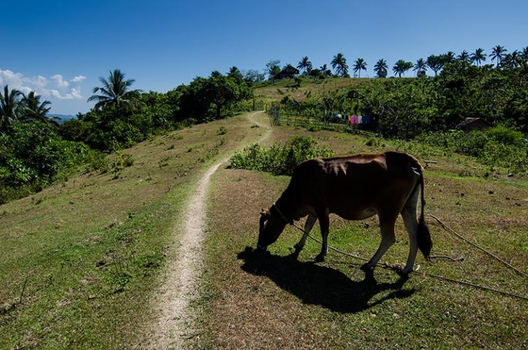 Carabao Island Philippines - Why it is Not Just a Boracay Island Side Trip
