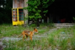 25 Haunting Chernobyl Pictures - 30 Years Later | The Planet D