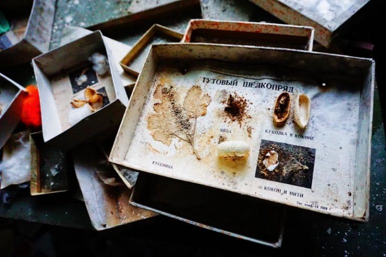 25 Haunting Chernobyl Pictures - 30 Years Later | The Planet D