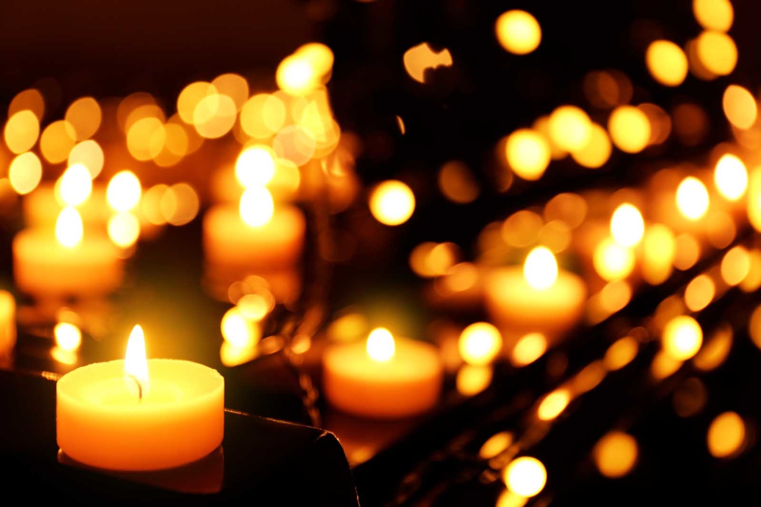 Best Christmas Events in Toronto: A Festive Guide - The Planet D