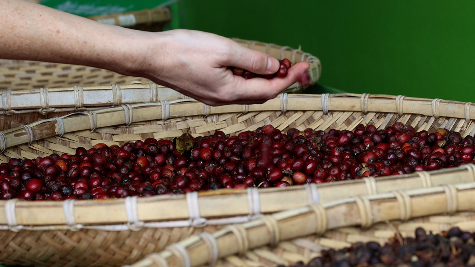 Why bean animal overflow - carehilo