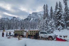The Best place to go Dog Sledding in Banff National Park - The Planet D