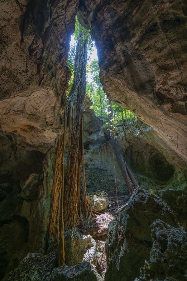 Green Grotto Caves - The Natural Beauty of Runaway Bay - The Planet D