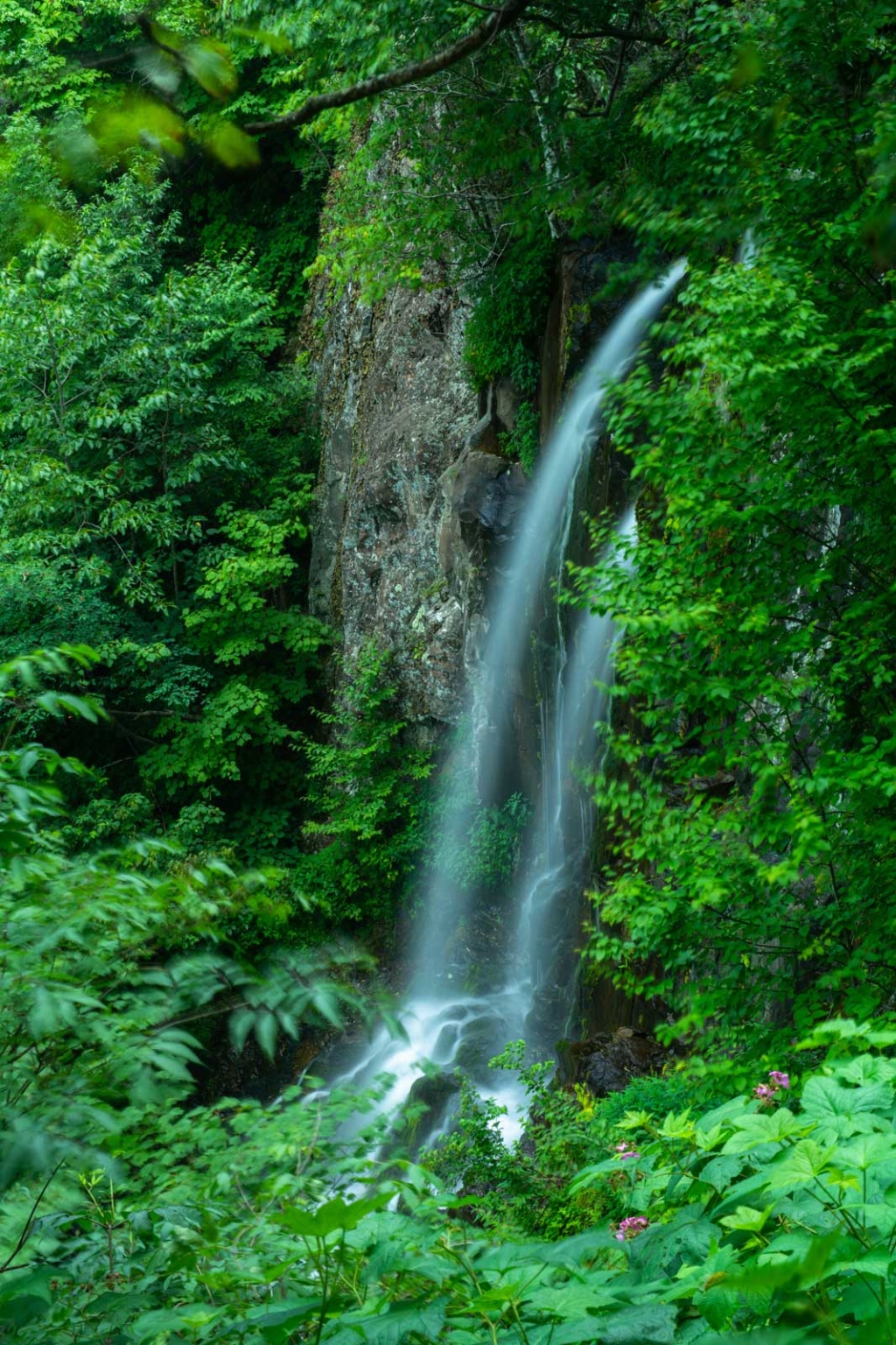 12 Best Hikes in Shenandoah National Park - The Planet D