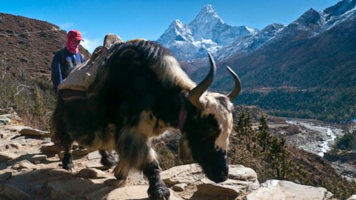 Everest Base Camp Trek in Photos | The Planet D