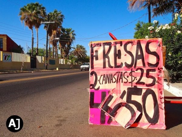 10 Proven Tips: How To Bargain Like a Pro When Traveling