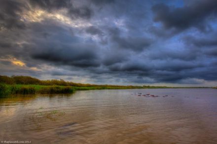 Kayaking with Crocodiles in South Africa | ThePlanetD