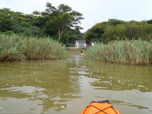 Kayaking with Crocodiles in South Africa | ThePlanetD