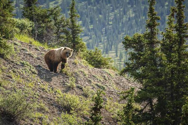 Beautiful Isolated Places on Earth - In Photos | The Planet D