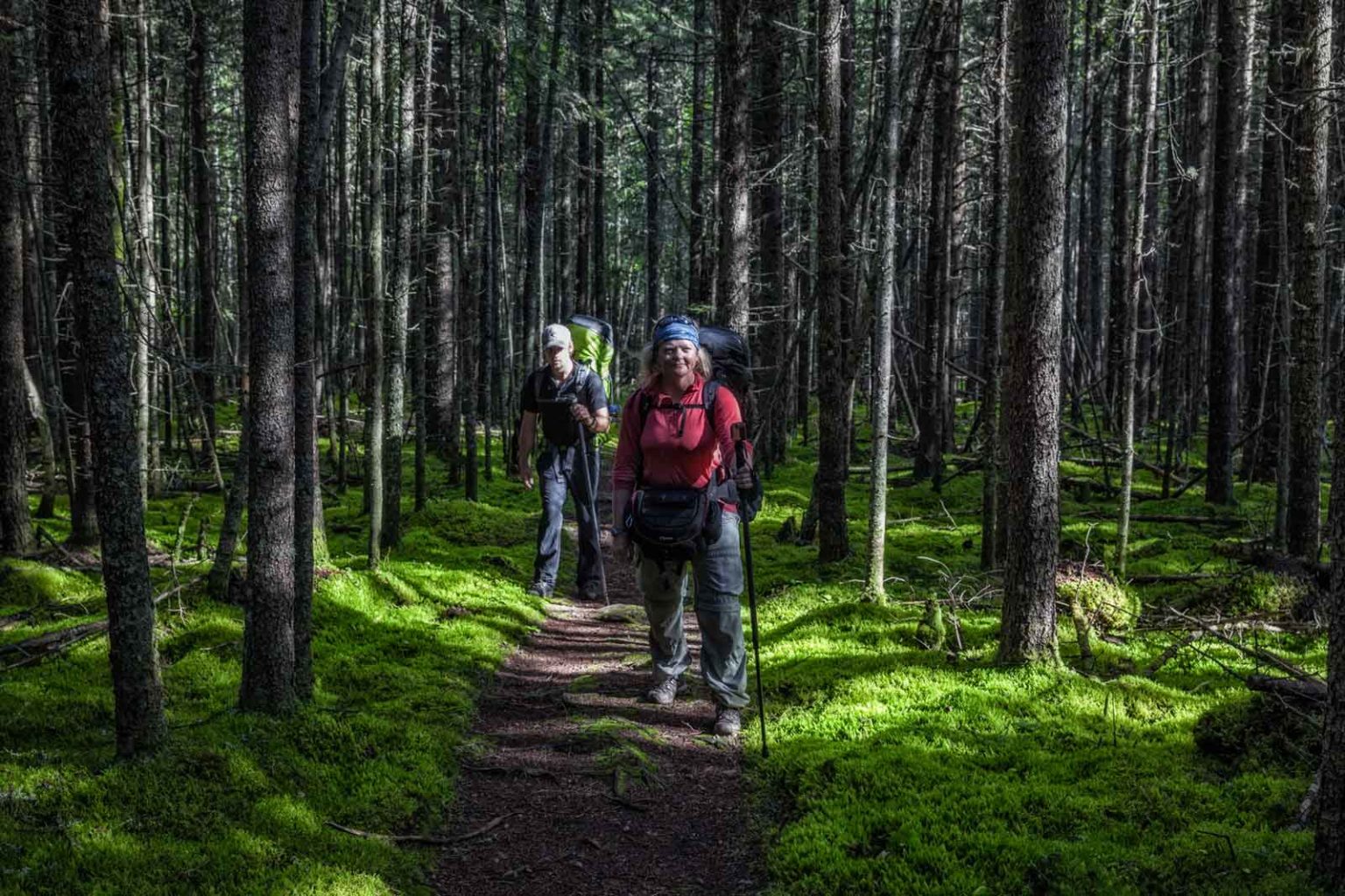 19 of the Best Ontario Hikes - The Planet D