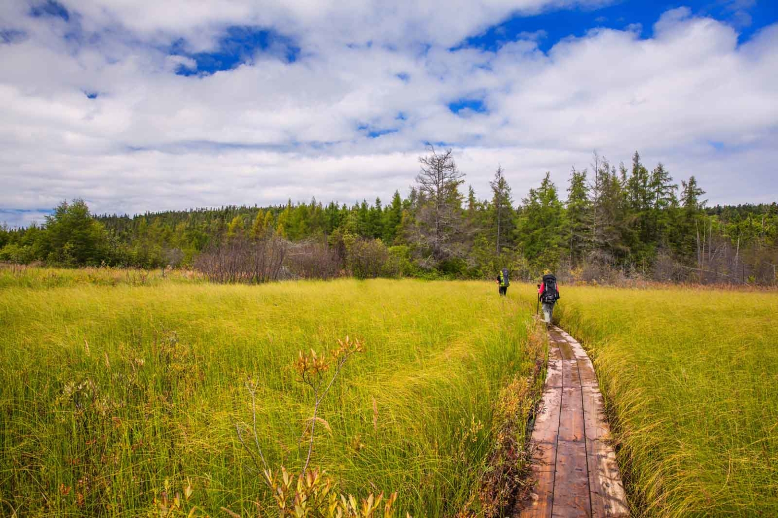 19 of the Best Ontario Hikes - The Planet D