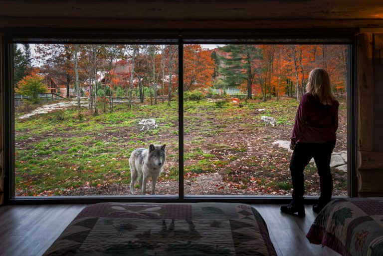 21 Places to Visit in Ottawa, Canada this Autumn | The Planet D