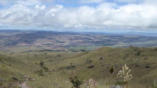 5 Unexpected Reasons to Visit Venezuela | The Planet d