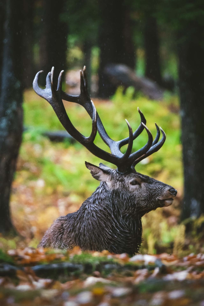 23 Best Things to Do in Saskatoon, Saskatchewan - The Planet D