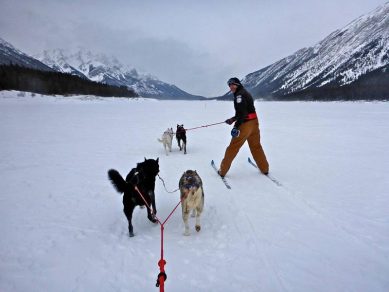 The 20 Best Winter Activities in Alberta | The Planet D