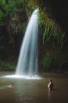 Road to Hana: Highway Map, Things to Do And Tips - The Planet D